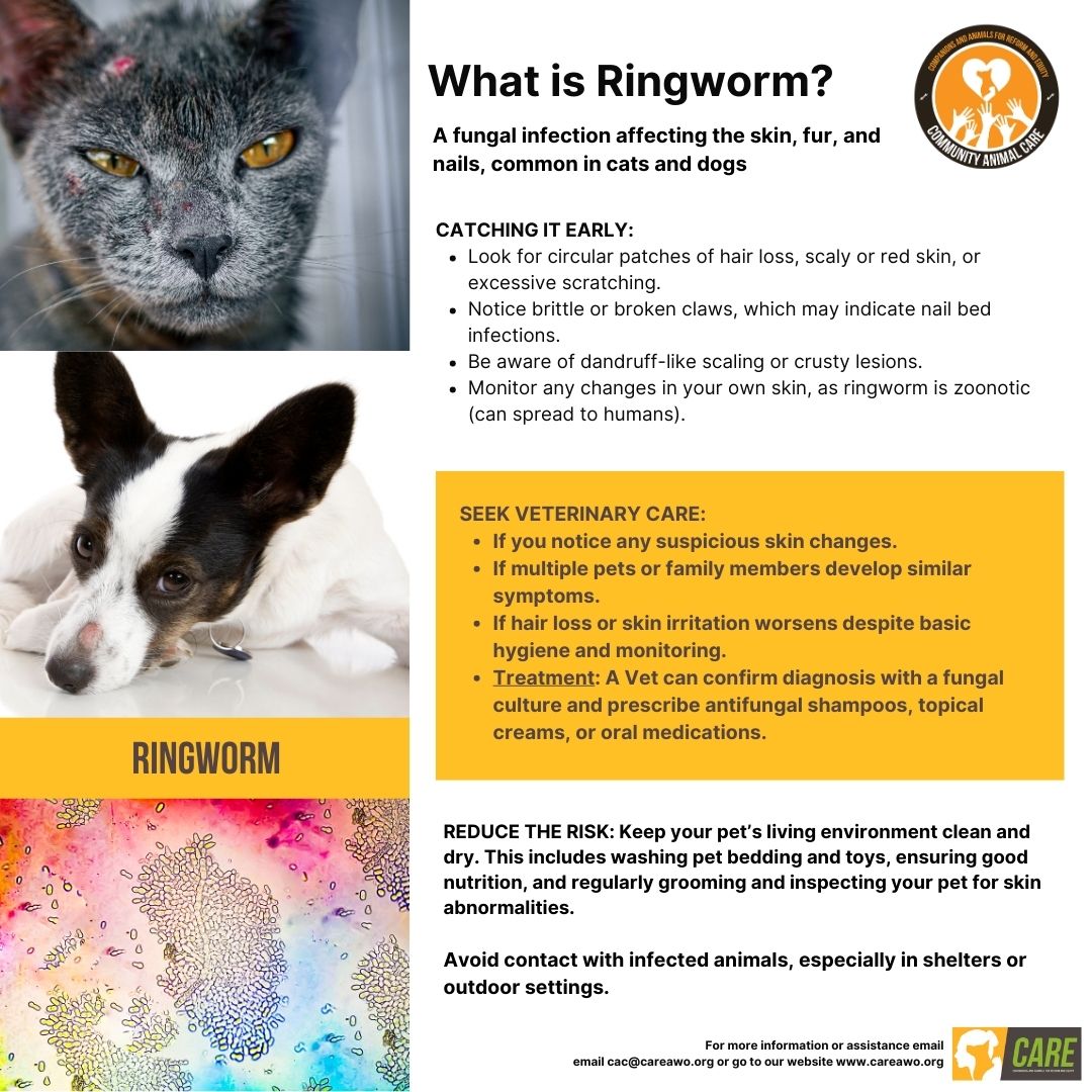 Ringworm Educational Handout - HAW Academy